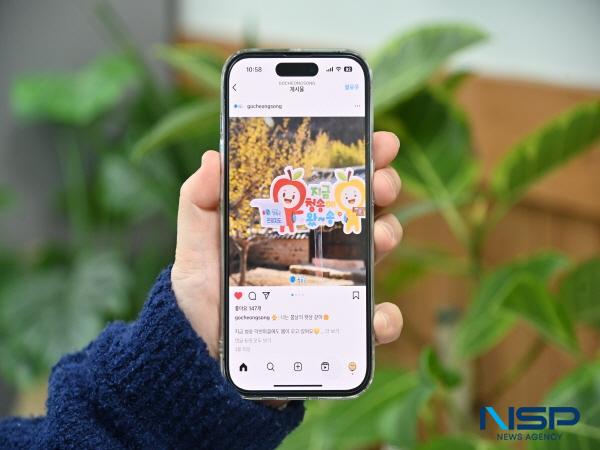 청송군, 군민 누구나 참여할 수 있는 청송군 SNS 군민참여단 운영-NSP통신