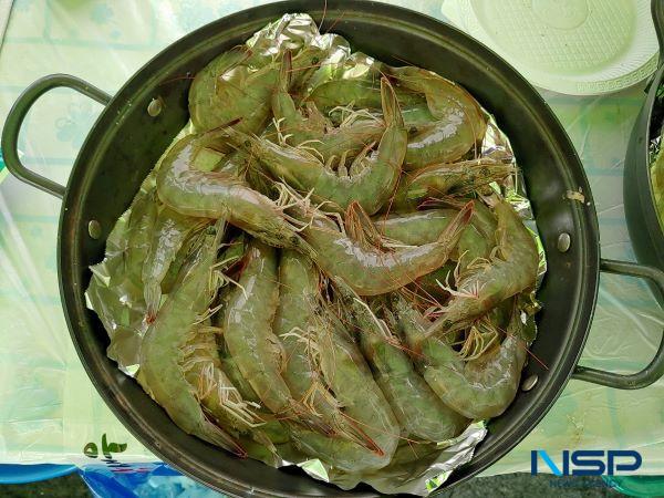 신안군 팔금도 섬 왕새우 축제 개최 Nsp통신